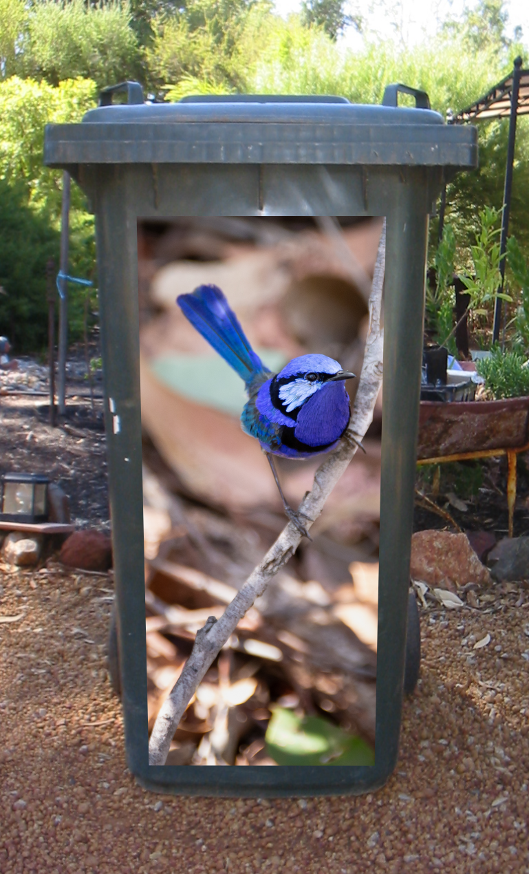 Blue wren wheelie bin sticker – Grove Wesley Design Art